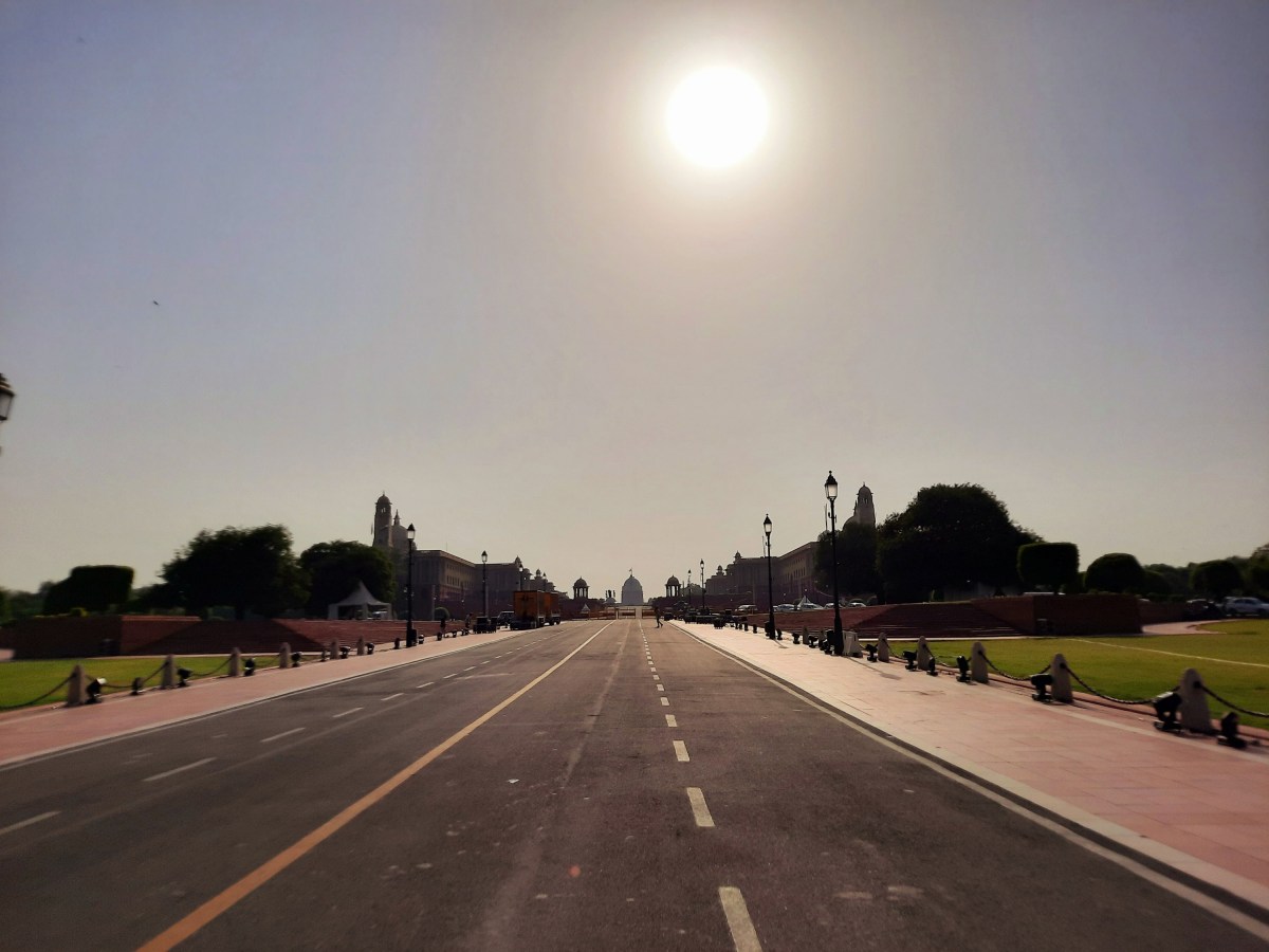 Regresar con Modi | OLIVIA MUÑOZ-ROJAS